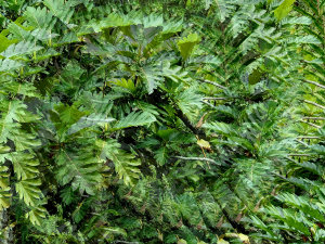 Python-Kurs: Ein Tutorial